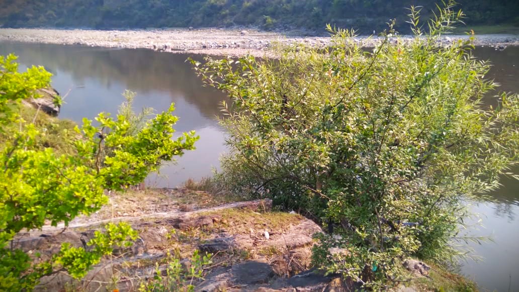 HOME STAY RETREAT – Camping Retreat near THFGH, Satpuli , Lansdowne